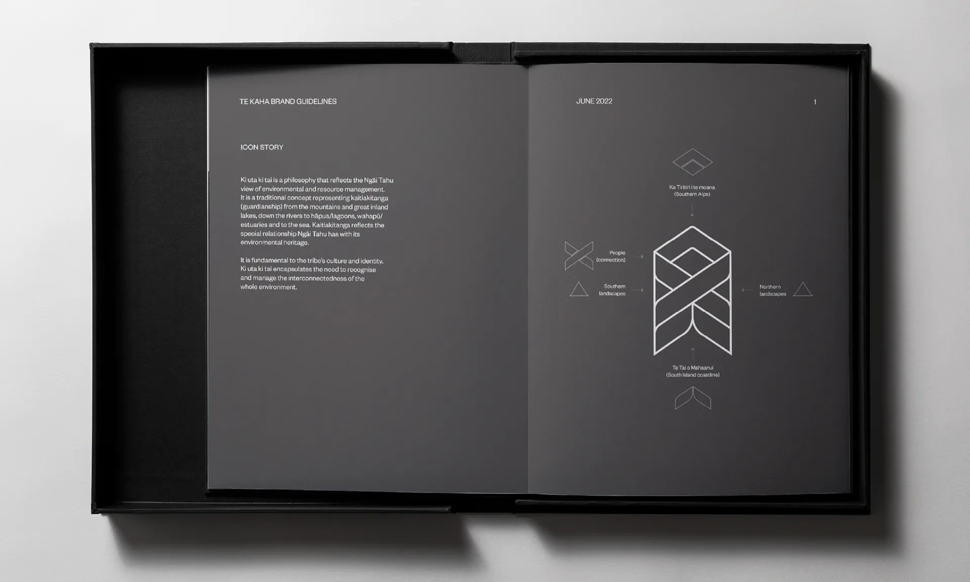 Te Kaha Brand | Plato