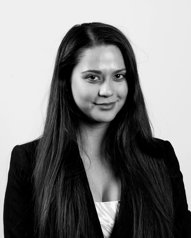 Get To Know The Plato Team | Plato