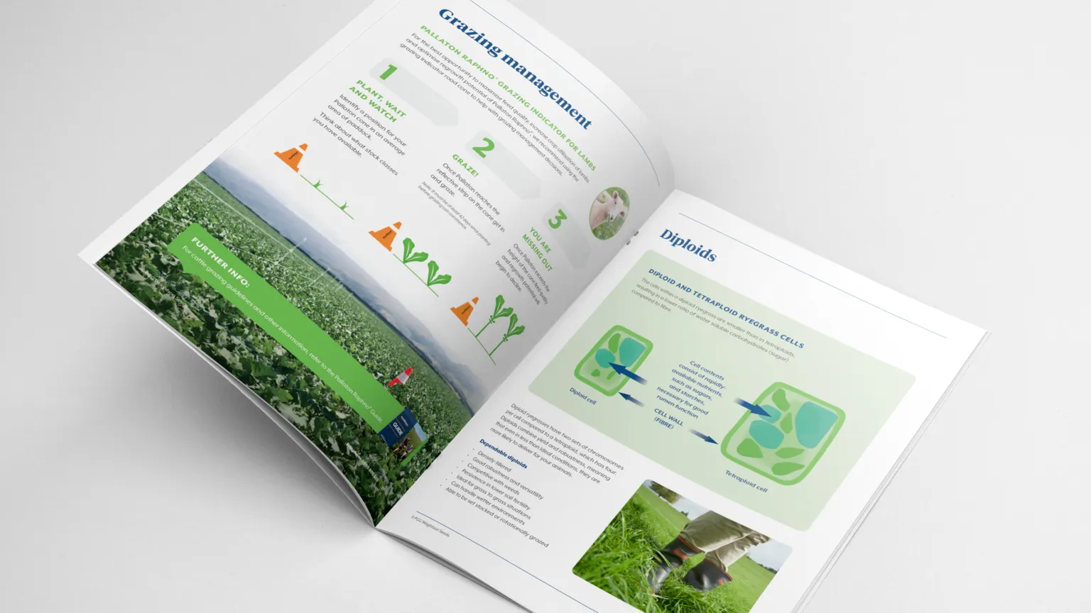 PGG Wrightson Seeds Brand | Plato