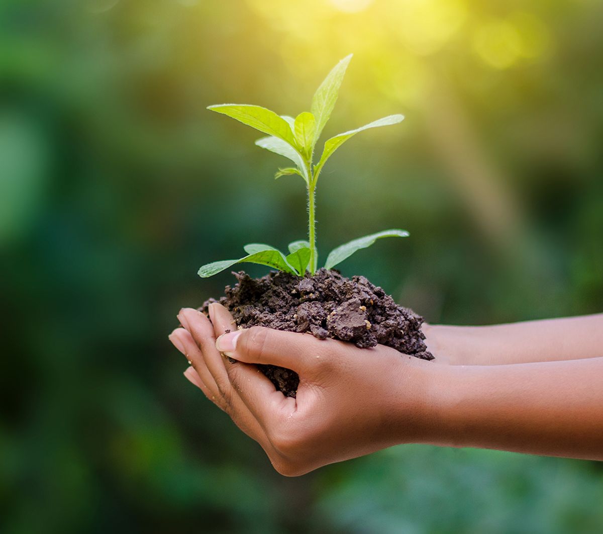 Lotterielösungen | Warum KEBA? | KEBA