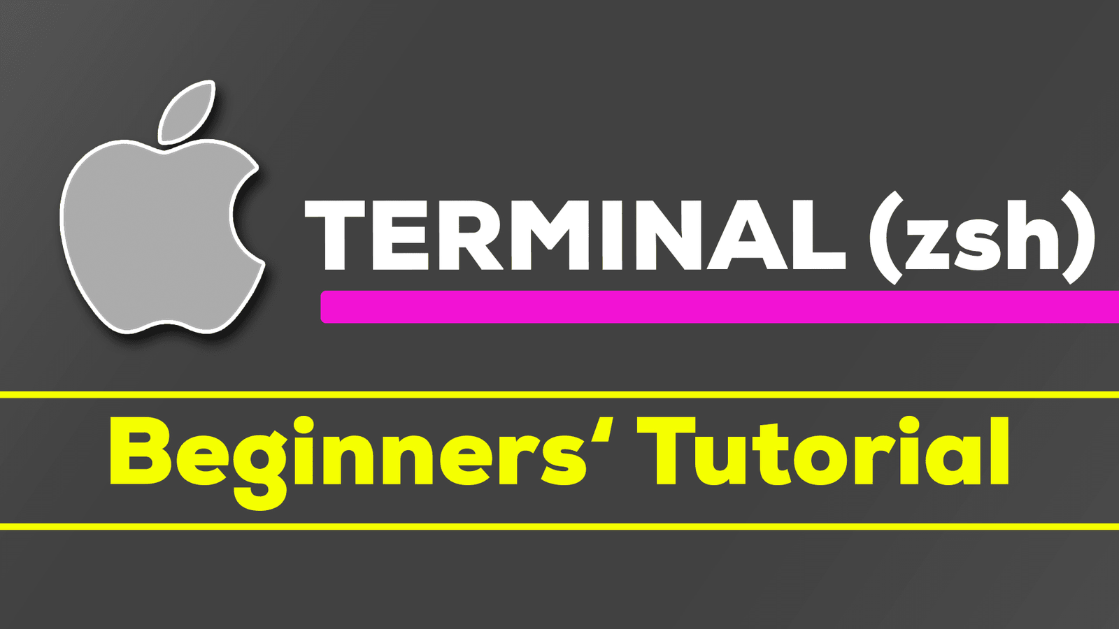 The Macos Terminal Zsh Getting Started