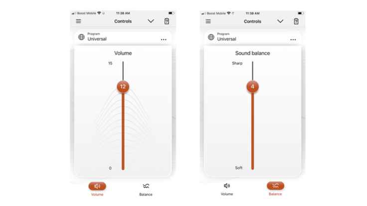 Signia Silk Charge&Go IX Hearing Aid | Reviews and Prices