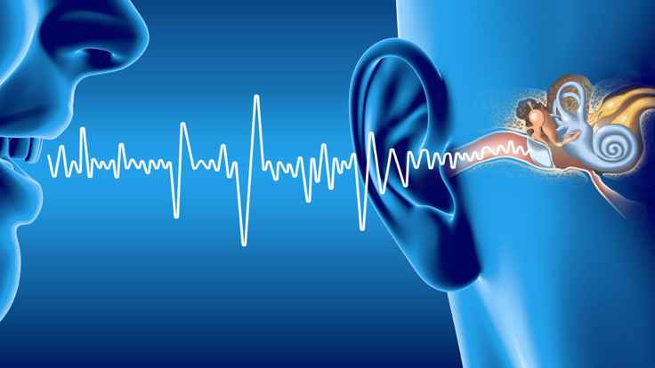 Deaf Mice Maintain Inner Ear Function Until Ear Canal Opens; Findings ...