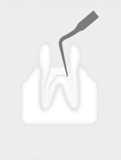 Piezo Endo Tips | W&H