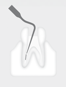 Piezo Endo Tips | W&H