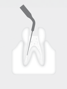 Piezo Endo Tips | W&H