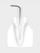 Piezo Endo Tips | W&H