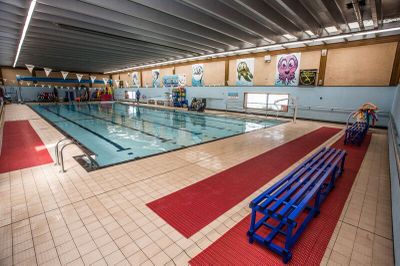 CDNT | Stewarts Care