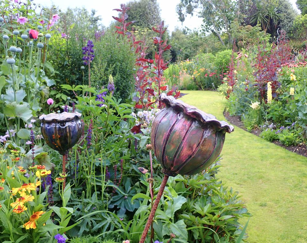 New Biosphere Supporter - Ardán Garden | Dublin Bay Biosphere