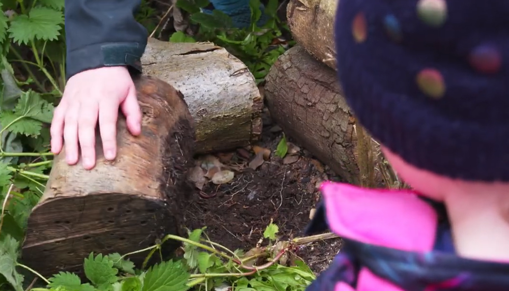 About the Biosphere Award | Dublin Bay Biosphere