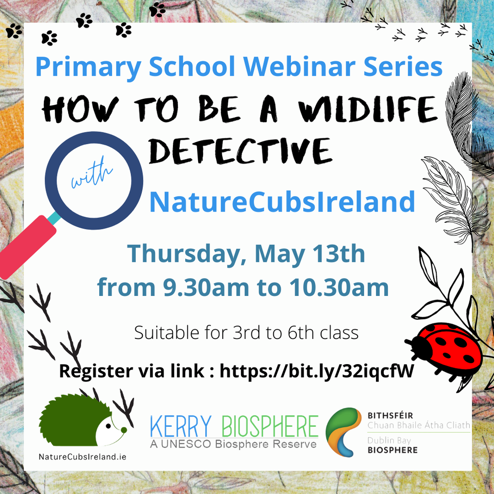How to be a wildlife detective | Dublin Bay Biosphere