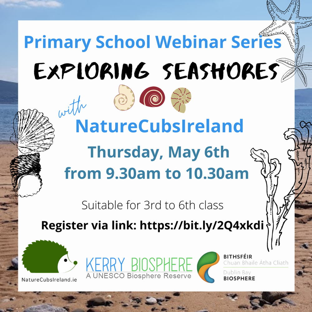 Exploring Seashores | Dublin Bay Biosphere