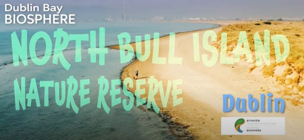 Video Shorts | Dublin Bay Biosphere