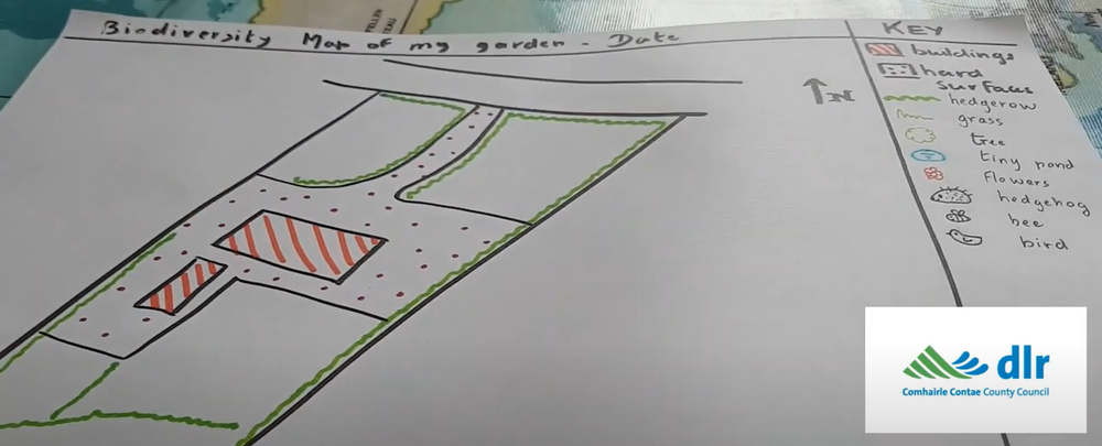 Lets Draw a Nature Map | Dublin Bay Biosphere