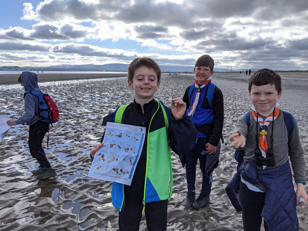 Young Nature Bloggers Competition | Dublin Bay Biosphere