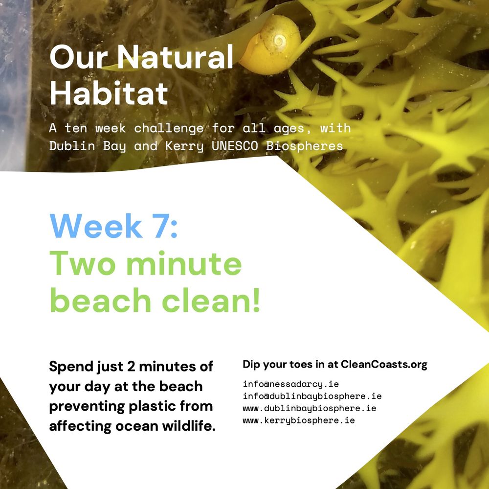 Challenge 7 | Dublin Bay Biosphere