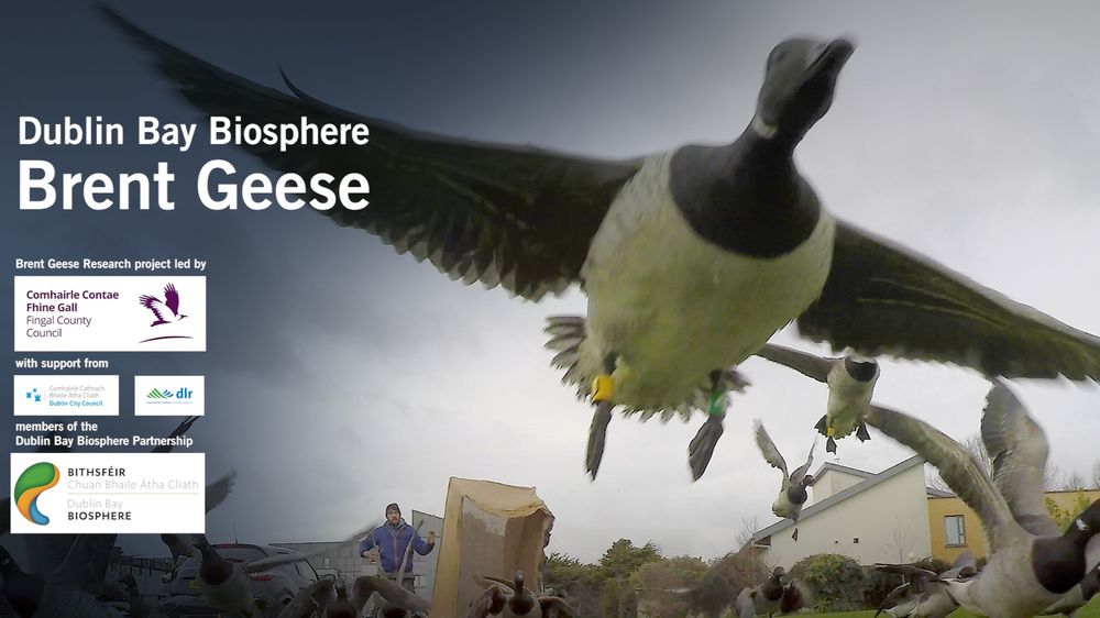 Video Library | Dublin Bay Biosphere
