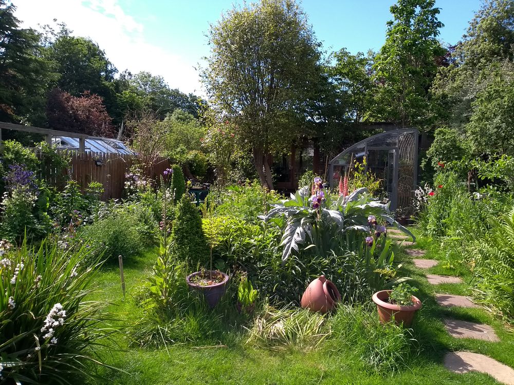 Biodiversity Week | Dublin Bay Biosphere