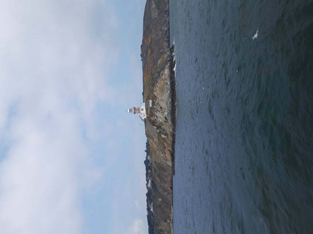 Biosphere Orientation Tour | Dublin Bay Biosphere