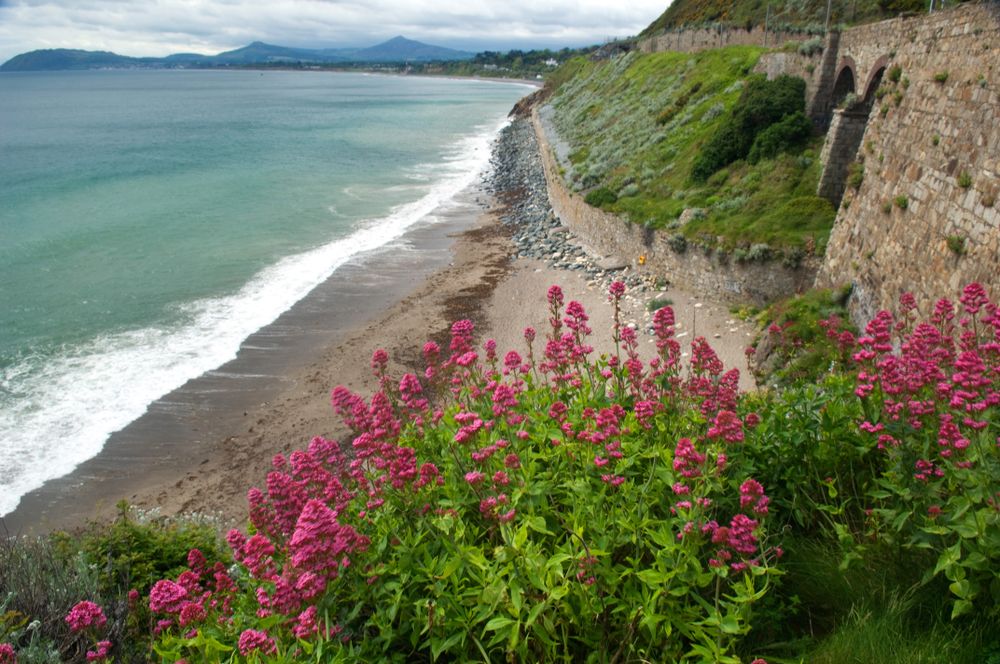 Top 10 Things to do in and around Dublin Bay Biosphere | Dublin Bay ...