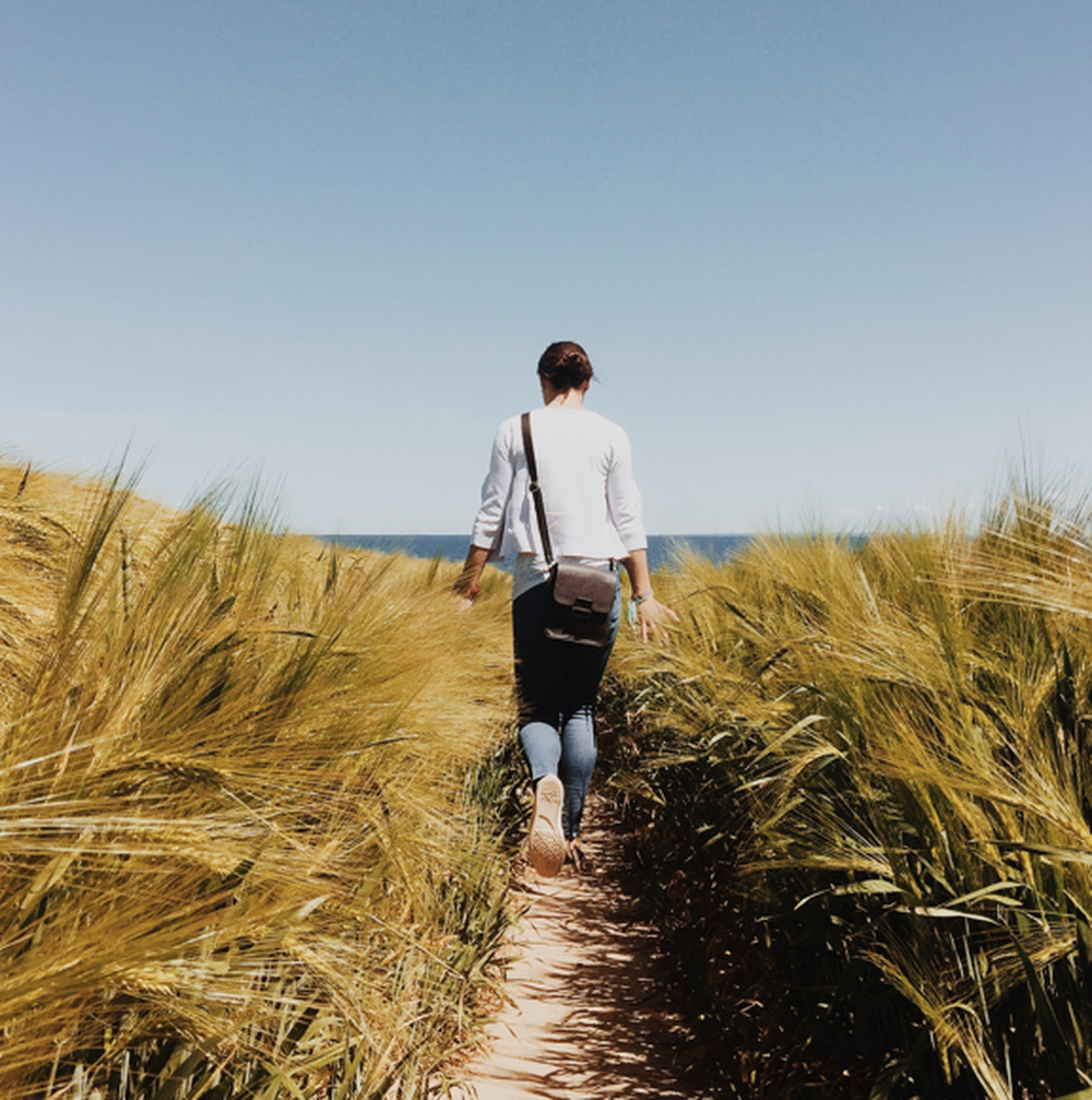 Top 10 Things to do in and around Dublin Bay Biosphere | Dublin Bay ...