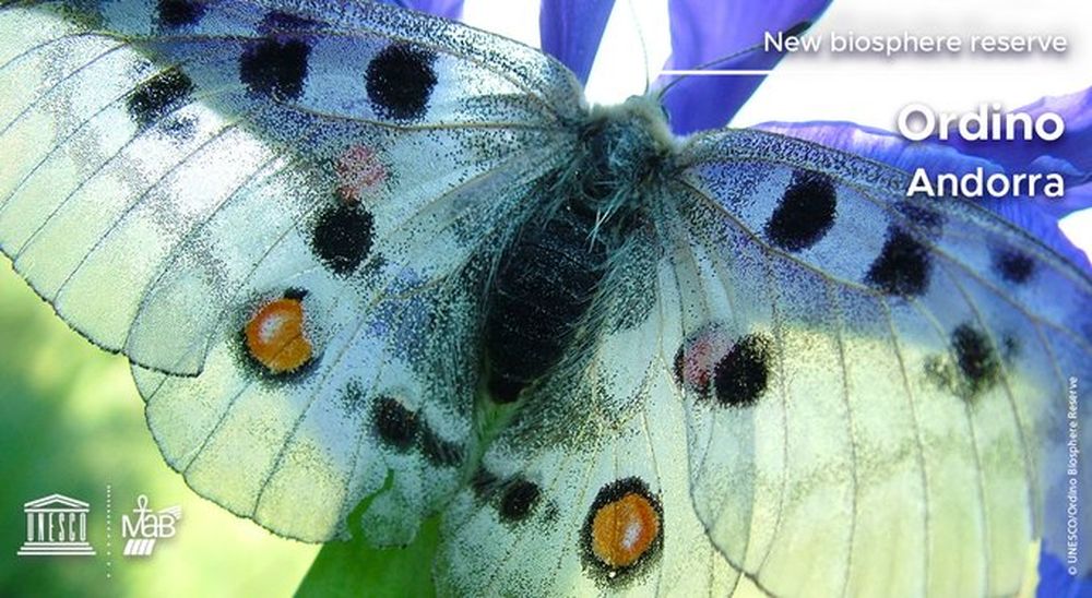 UNESCO Welcome 25 New Biosphere's | Dublin Bay Biosphere