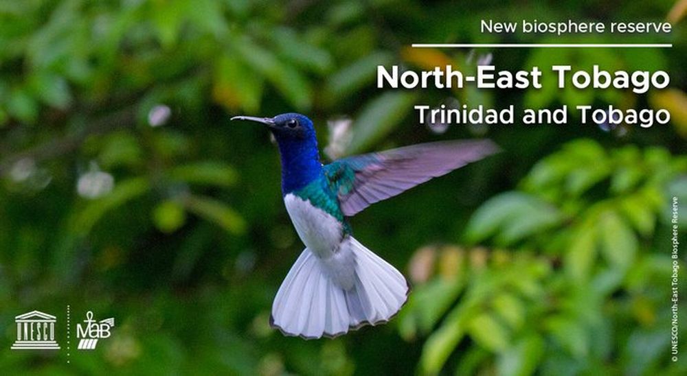 UNESCO Welcome 25 New Biosphere's | Dublin Bay Biosphere