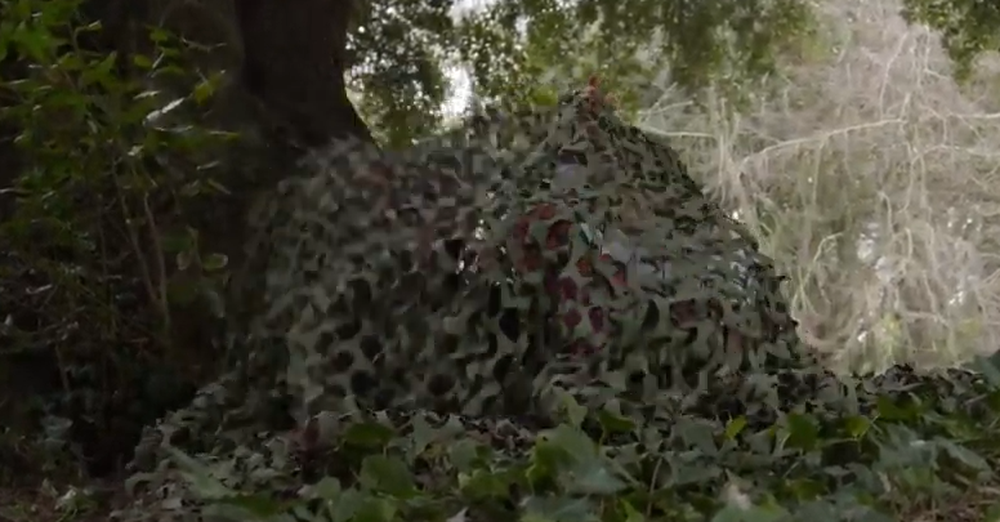 About the Biosphere Award | Dublin Bay Biosphere