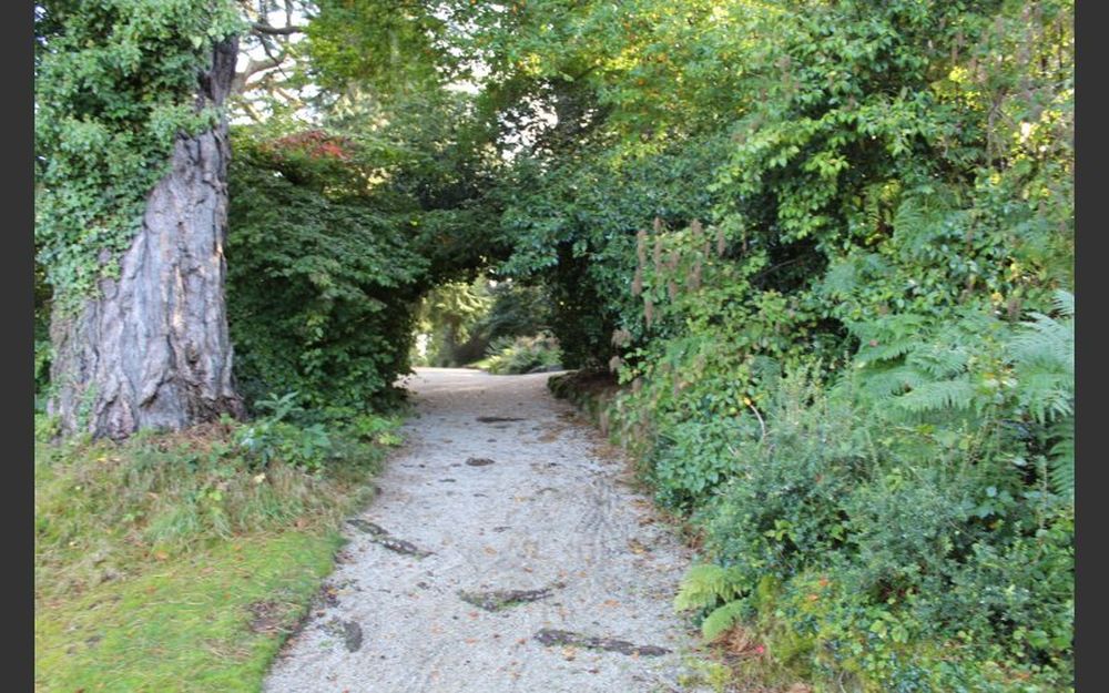 Biodiversity Week | Dublin Bay Biosphere