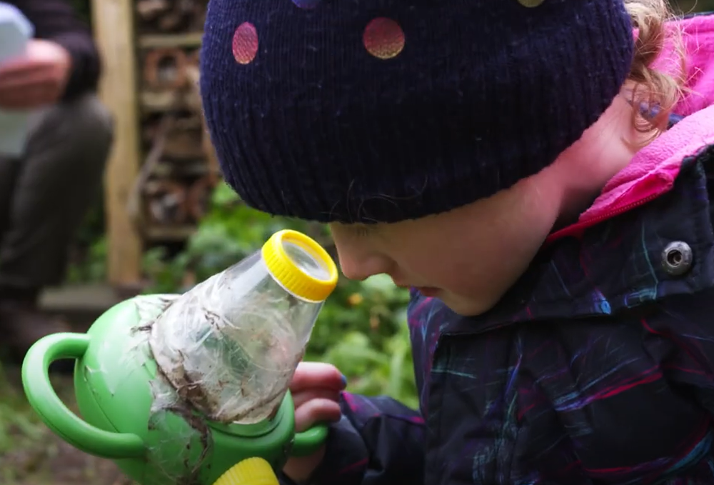 About the Biosphere Award | Dublin Bay Biosphere