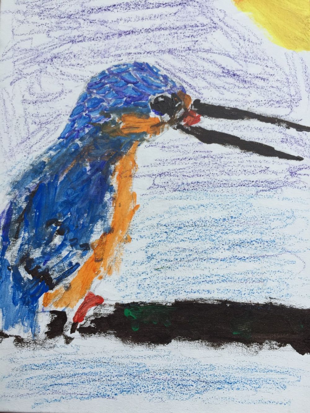 2023 Calendar Competition Winners Announced | Dublin Bay Biosphere