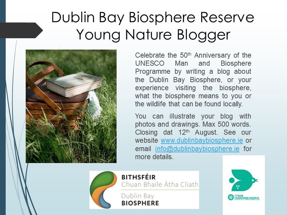 Young Nature Bloggers | Dublin Bay Biosphere