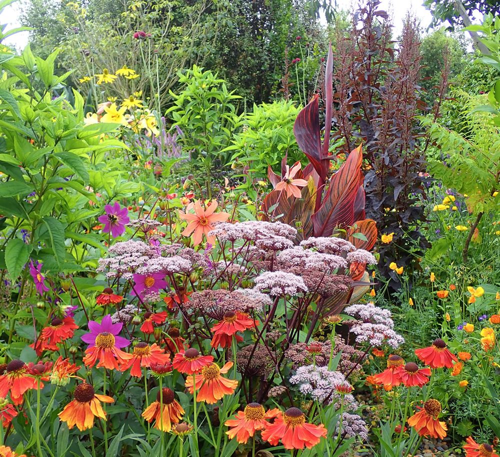 New Biosphere Supporter - Ardán Garden | Dublin Bay Biosphere