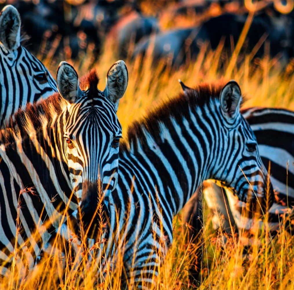 Explore Trips | Fun, Affordable Group Travel | EF Ultimate Break