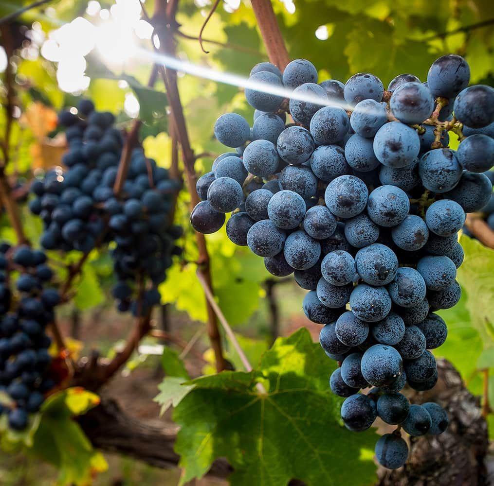 New trips | EF Ultimate Break