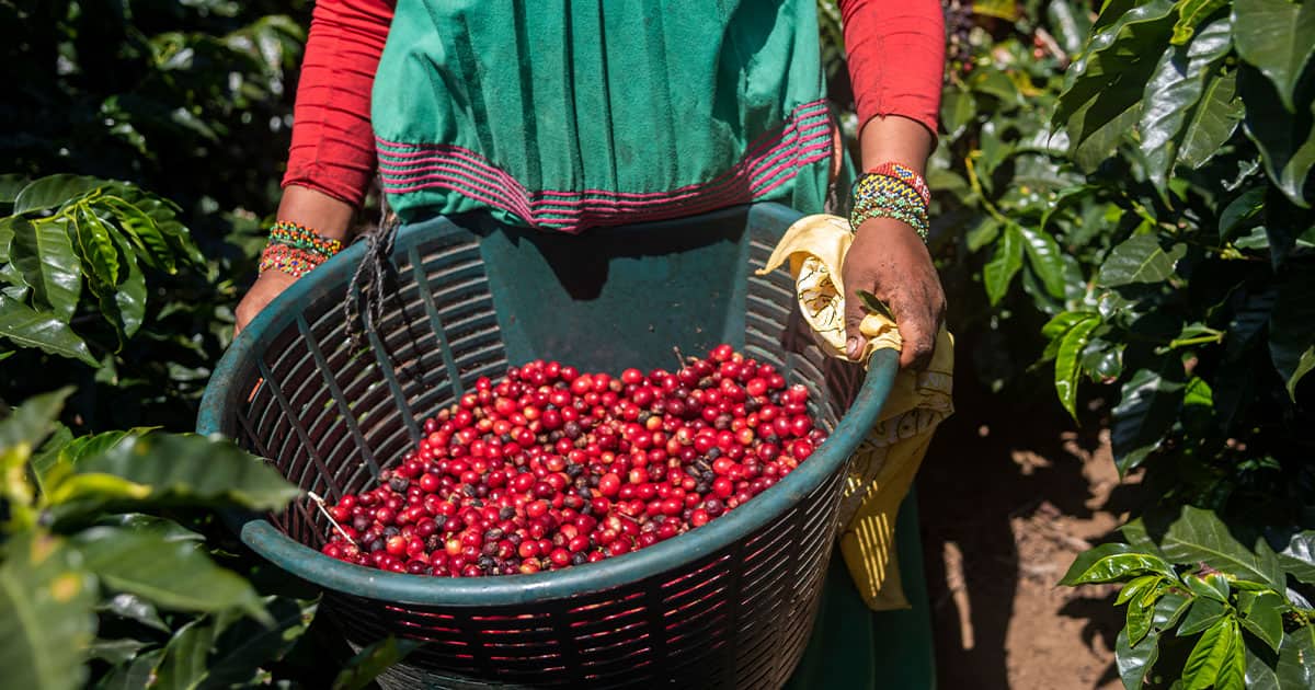 Local Flavor: Supporting Cultures Through Experiences | EF Ultimate Break