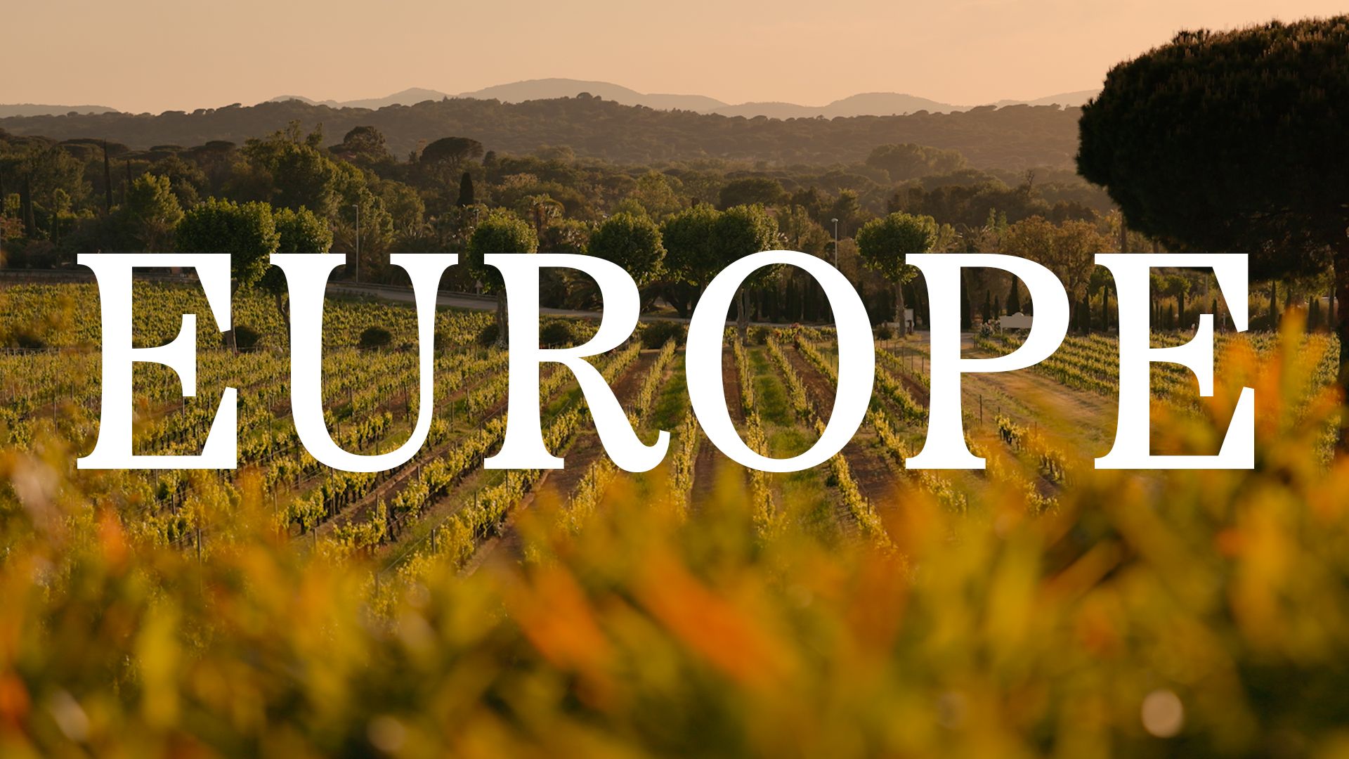 Group travel to Europe | Ages 18–35 | EF Ultimate Break