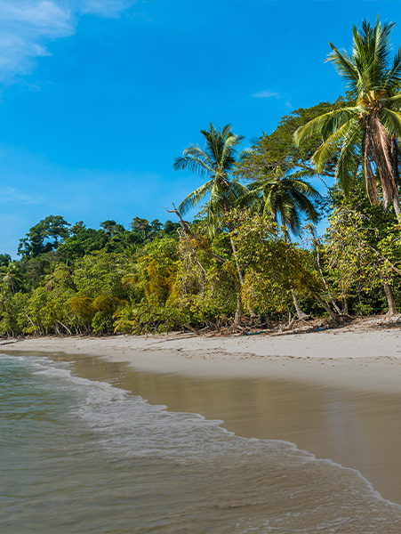 Visiting Costa Rica: Travel Guide for 18–35 Year Olds | EF Ultimate Break