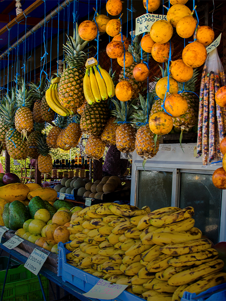 Visiting Costa Rica: Travel Guide for 18–35 Year Olds | EF Ultimate Break