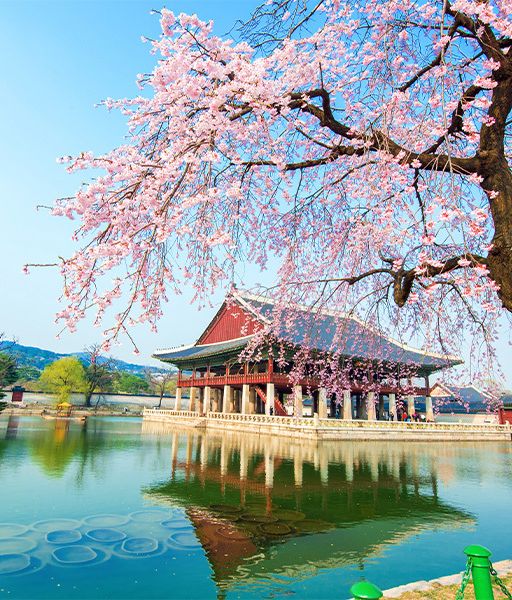 Group travel to Asia | Ages 18–35 | EF Ultimate Break