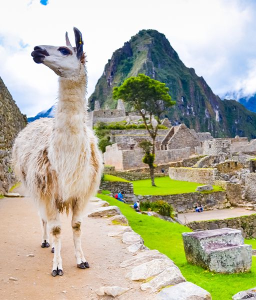 Group travel to Peru | Ages 18–35 | EF Ultimate Break