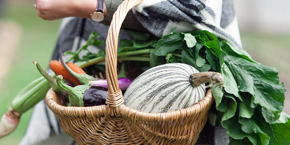 Eating patterns to combat climate change | Articles | WELL ...