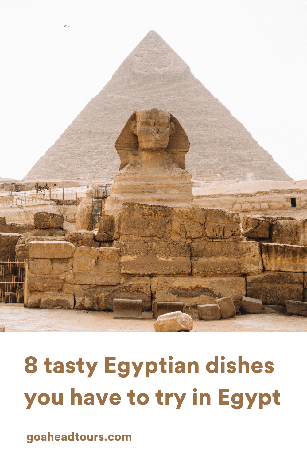 8 Tasty Egyptian Dishes to Try in Egypt | EF Go Ahead Tours