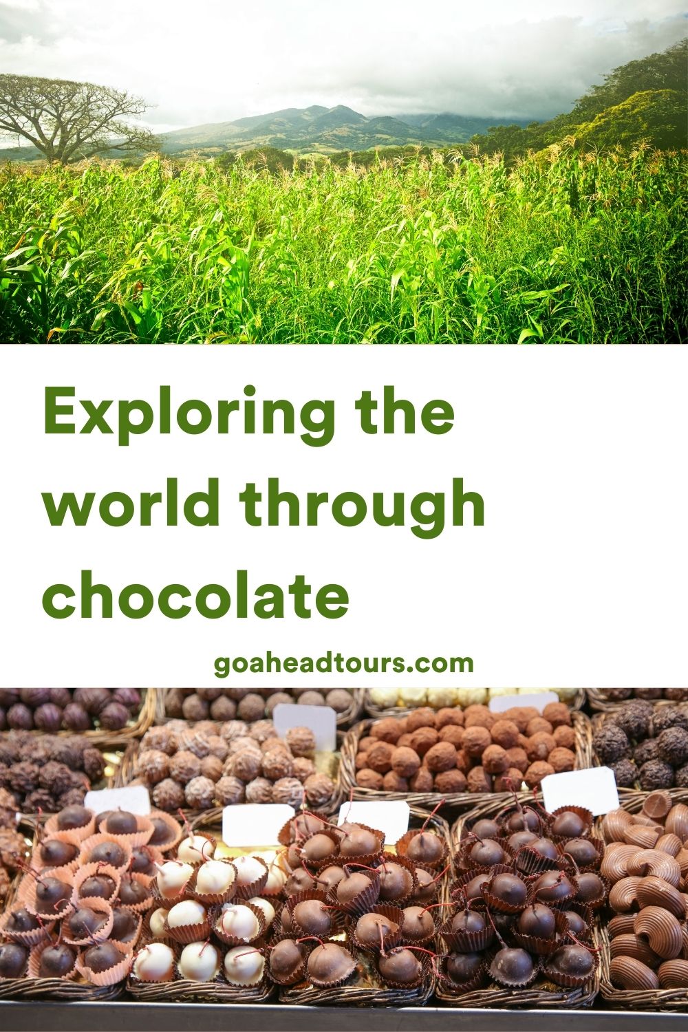 Exploring the World Through Chocolate | EF Go Ahead Tours