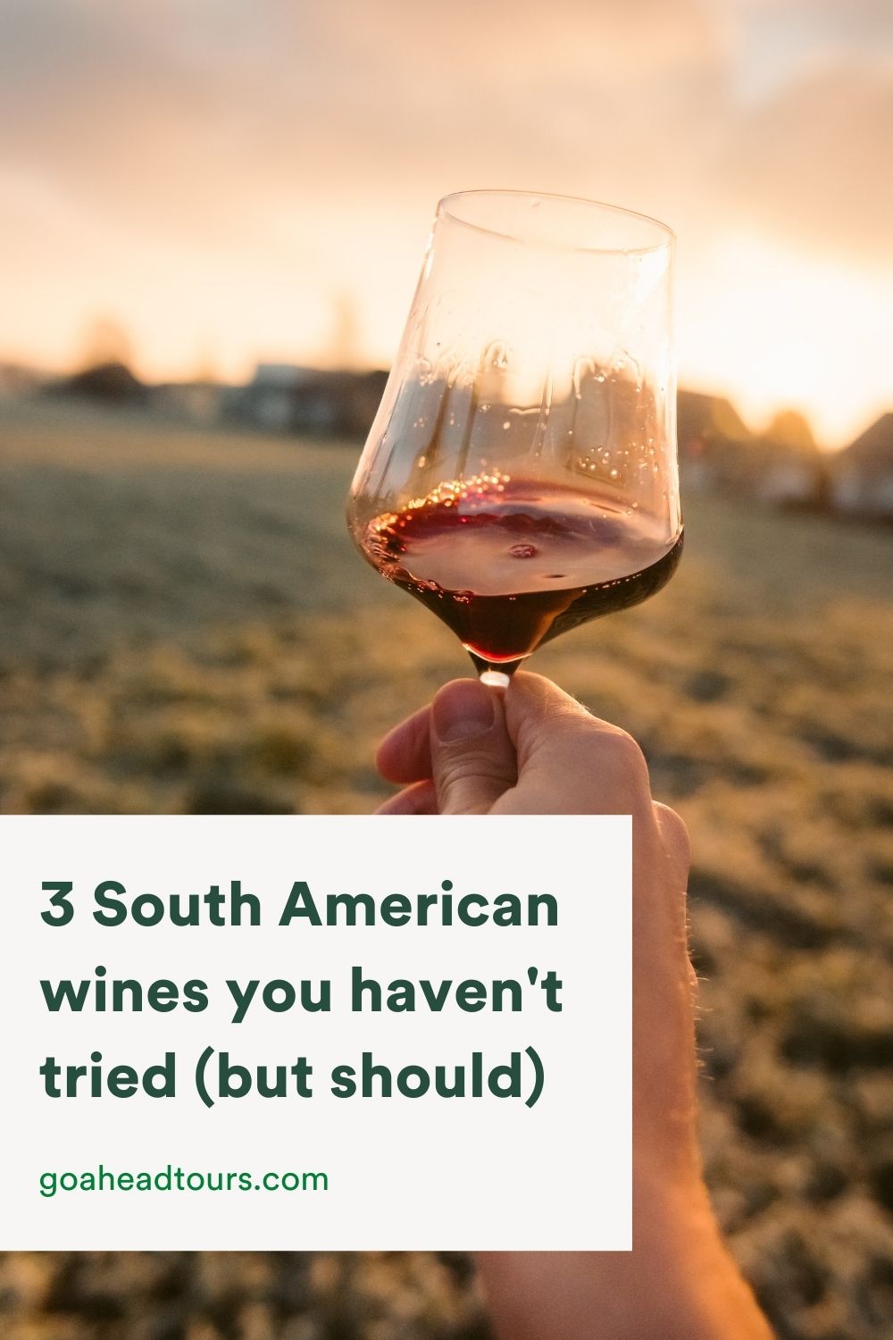 3 South American Wines you Haven't Tried | EF Go Ahead Tours