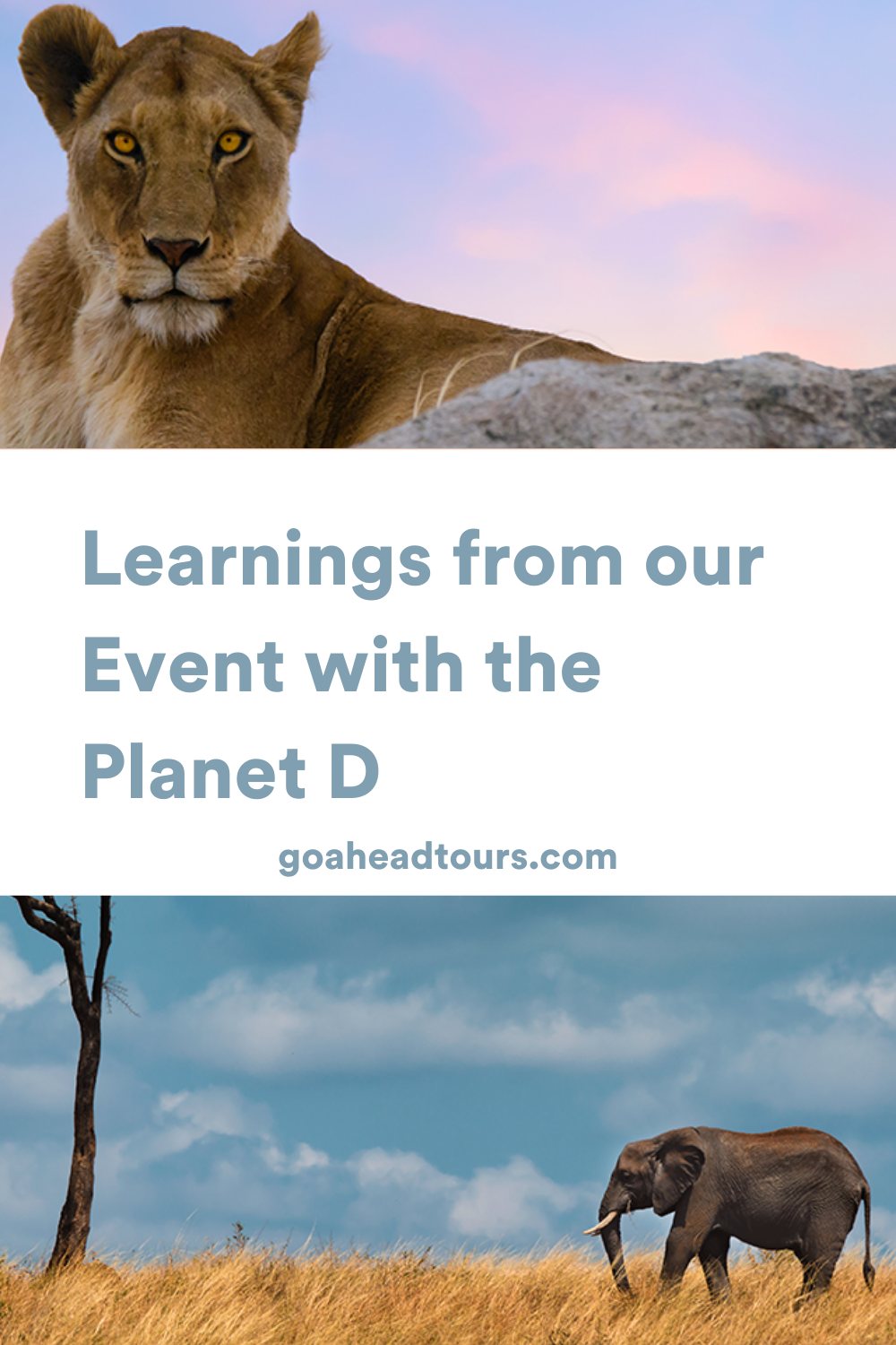 Learnings from our Event with the Planet D | EF Go Ahead Tours