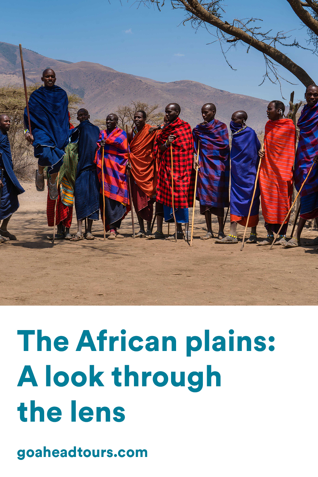 African Plains: A Look Through the Lens | EF Go Ahead Tours