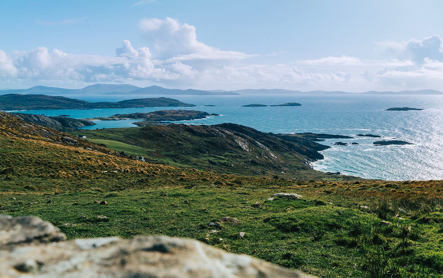 Ireland: Culinary Flavors & Local Traditions | EF Go Ahead Tours