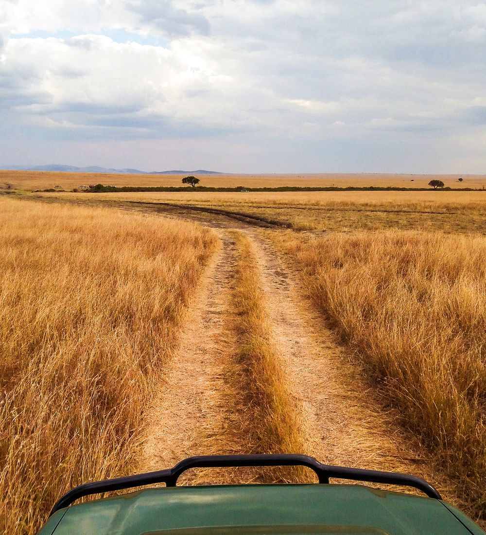 Kenya Safari Tour for Solo Travelers | EF Go Ahead Tours