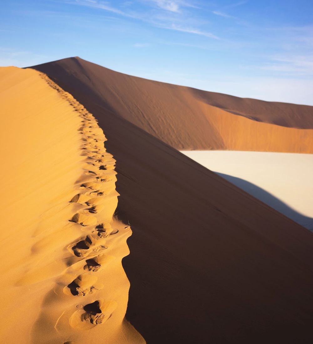 Namibia Wildlife Safari: Desert Landscapes & National Parks | EF Go ...